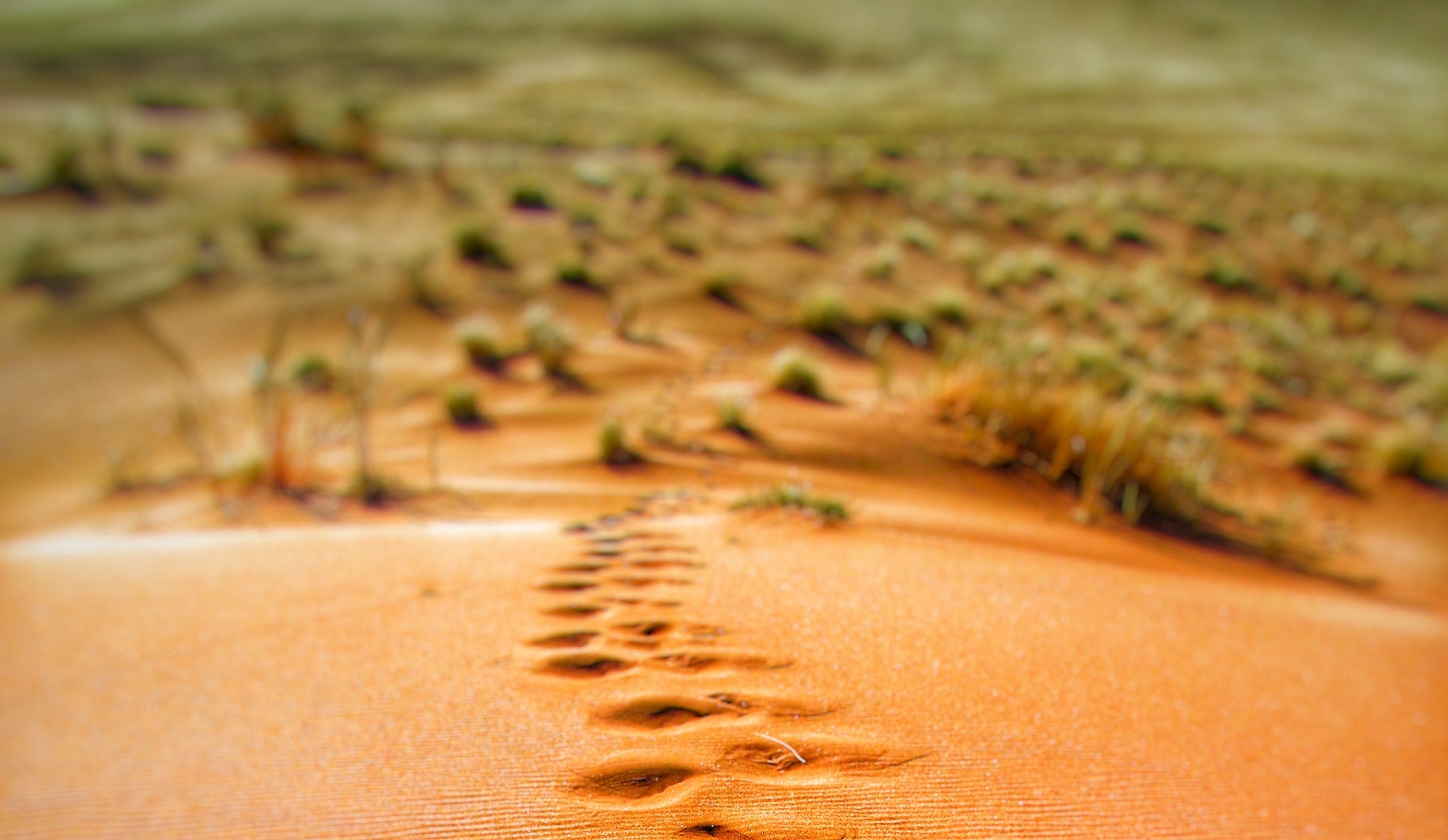 Lifted Up upon the Cross – Good News Brand