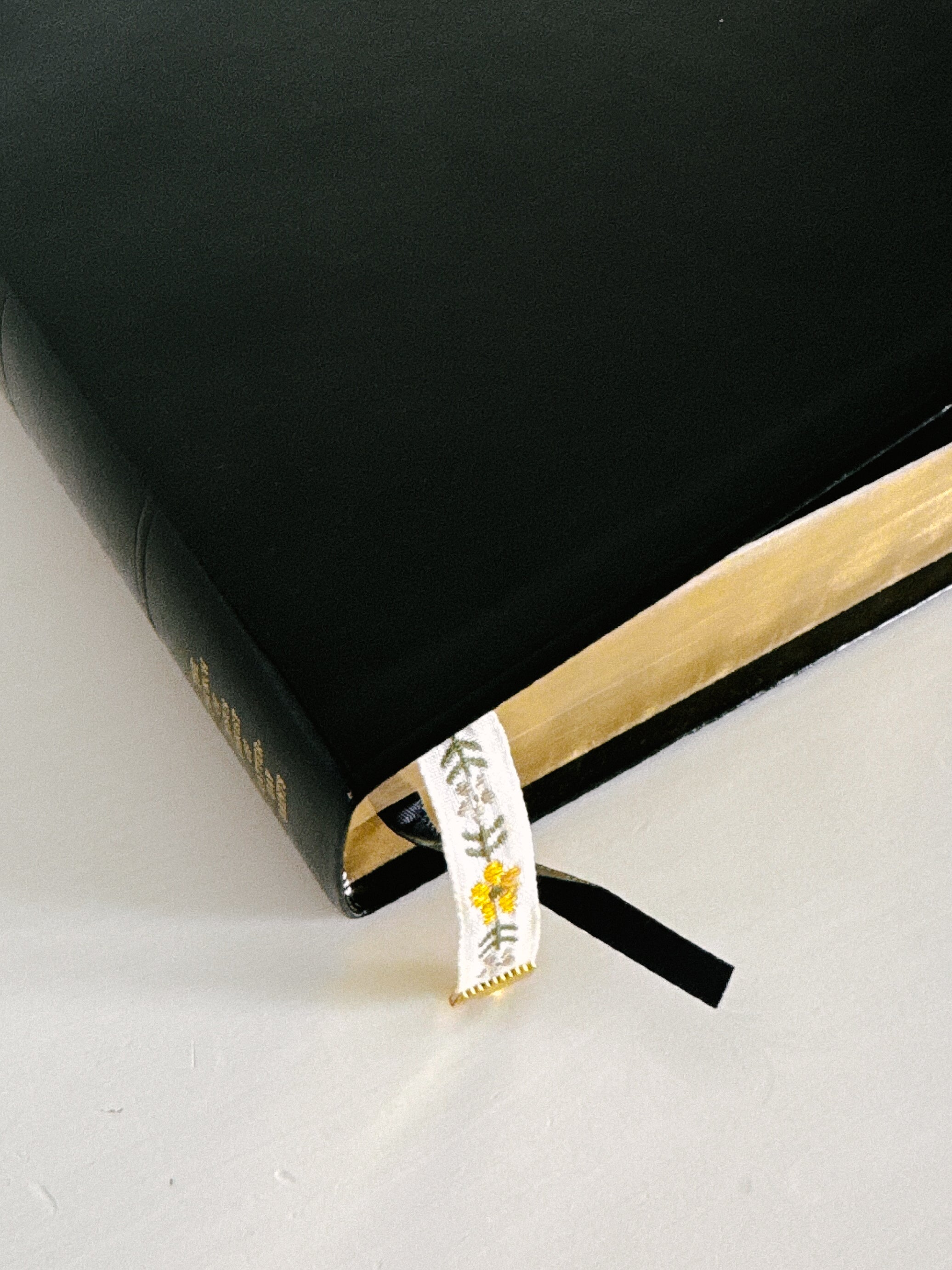 January 2026 Day of Double Blessings – Good News Brand