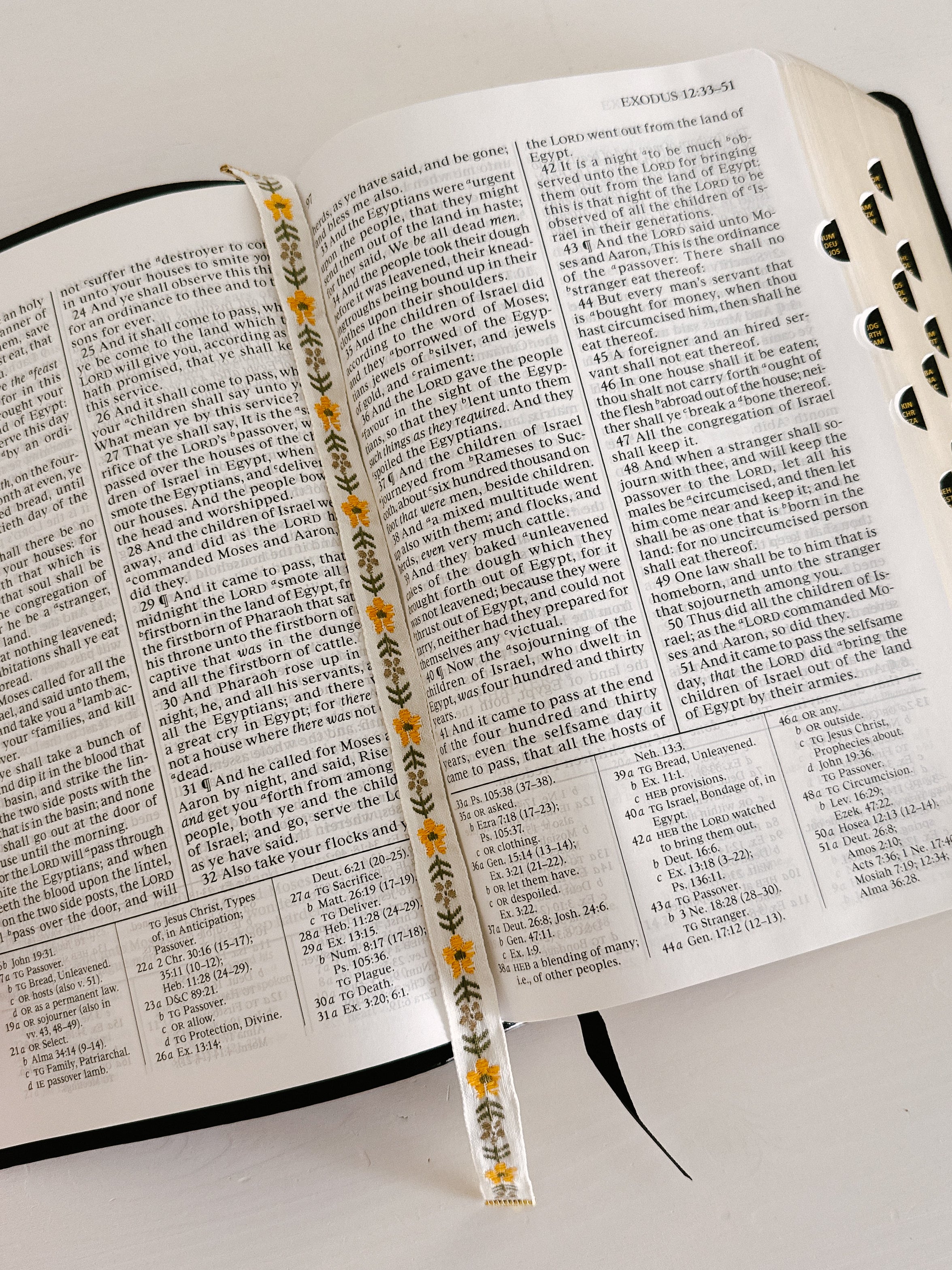 January 2026 Day of Double Blessings – Good News Brand